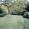 How to Use a Seed Germination Blanket Over Existing Grass | D & L Supply
